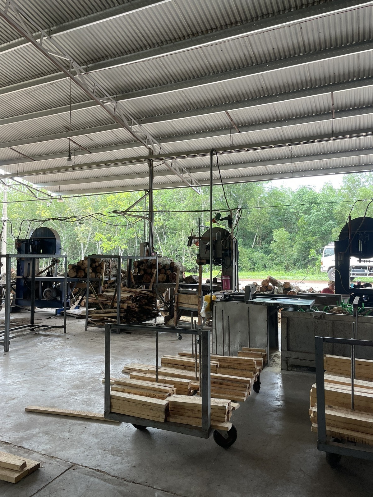 Rubber wood is a tropical hardwood