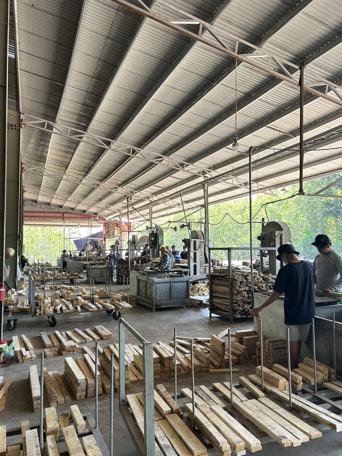 Rubber wood is a tropical hardwood